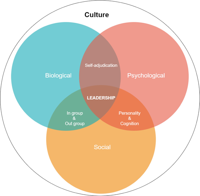 The Constructs of Leadership and Politics: Theory to Praxis | SpringerLink