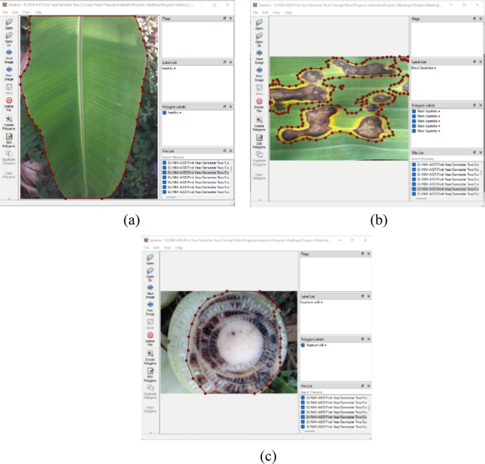 Mask R-CNN Model for Banana Diseases Segmentation | SpringerLink
