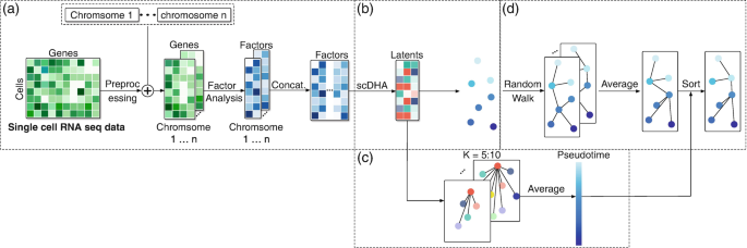 A Holistic Approach for Single-Cell Data Trajectory Inference Using ...