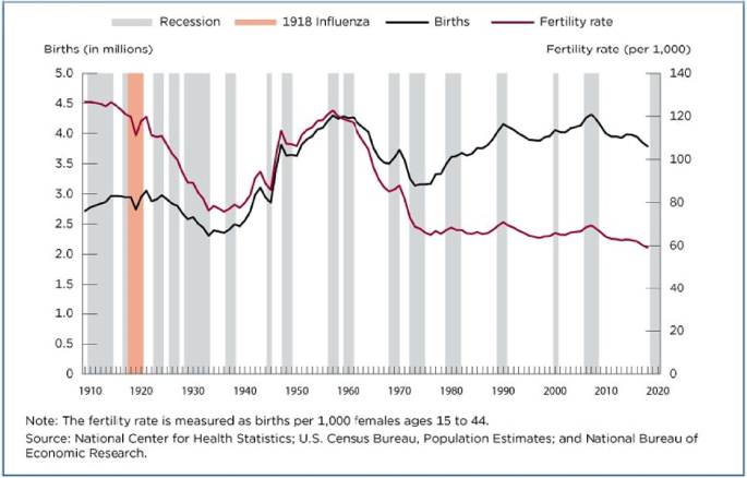 Demographic Processes: Fertility | SpringerLink