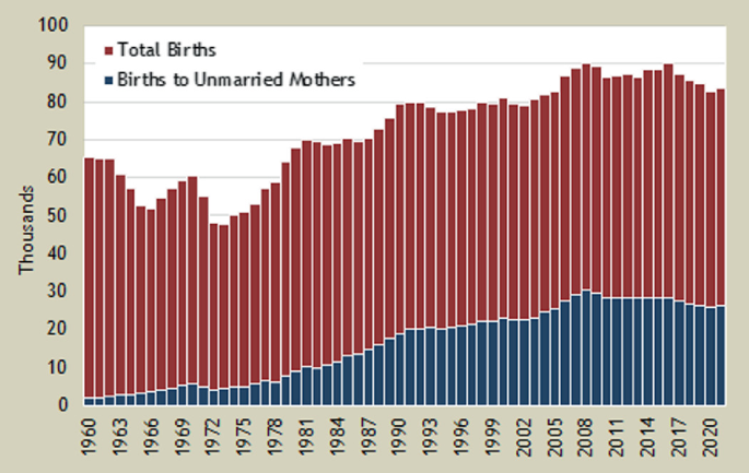 Demographic Processes: Fertility | SpringerLink