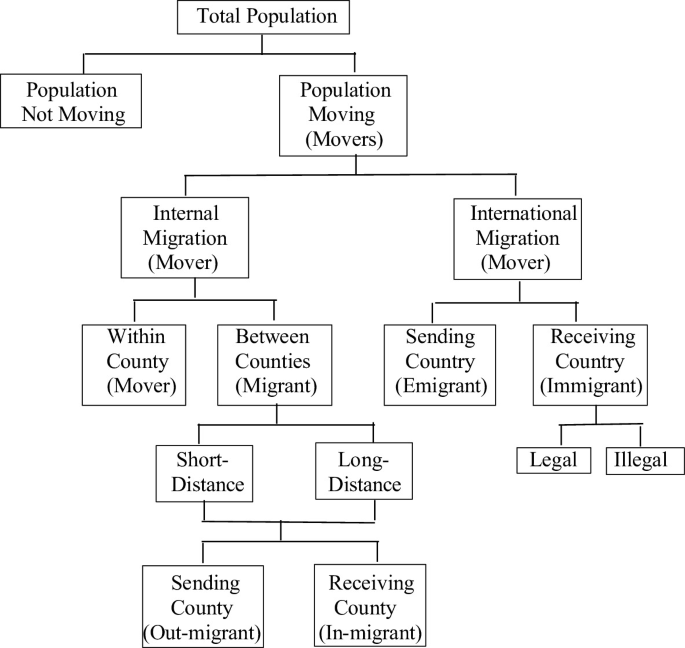 Demographic Processes: Migration | SpringerLink