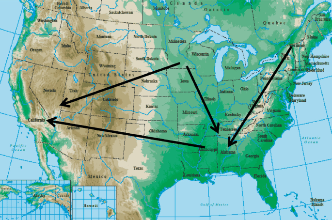 Demographic Processes: Migration | SpringerLink
