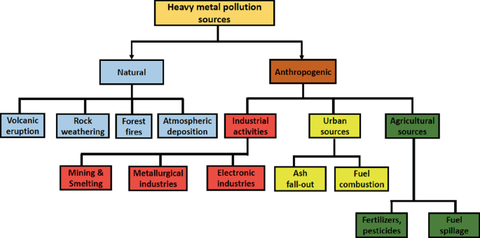 An Overview on the Current State of Heavy Metal Pollution and Recent ...
