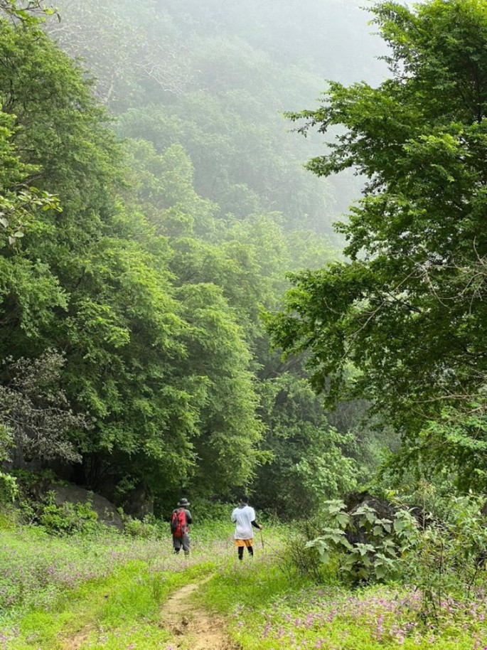 Evolving Transhumance in Southern Oman: Ancient Traditions for Modern ...