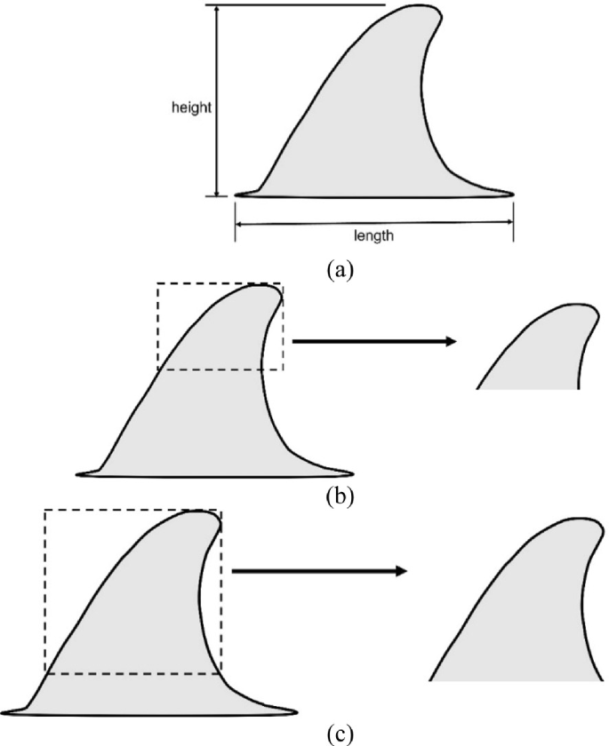 Algorithm for Optimization of Biomimick Vortex Generator—Airfoil ...