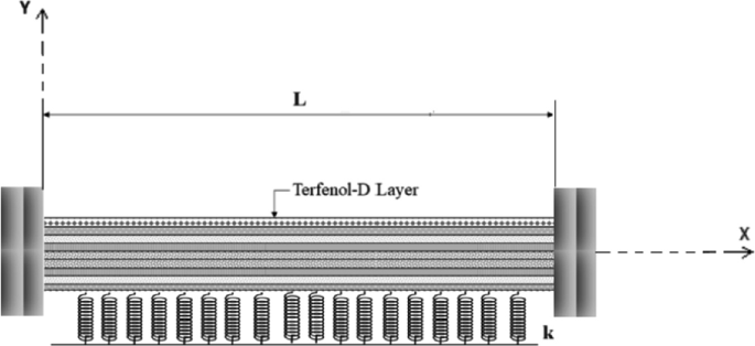 Control of Transverse Vibrations in Functional Gradient Beams with ...