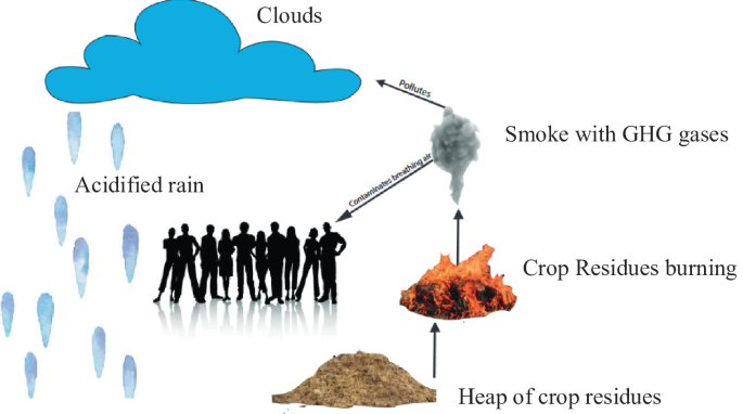 Crop Residue Management Practices for Sustaining Soil Health | SpringerLink