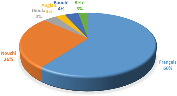 Language Policy and Plurilingualism in Côte d’Ivoire | SpringerLink