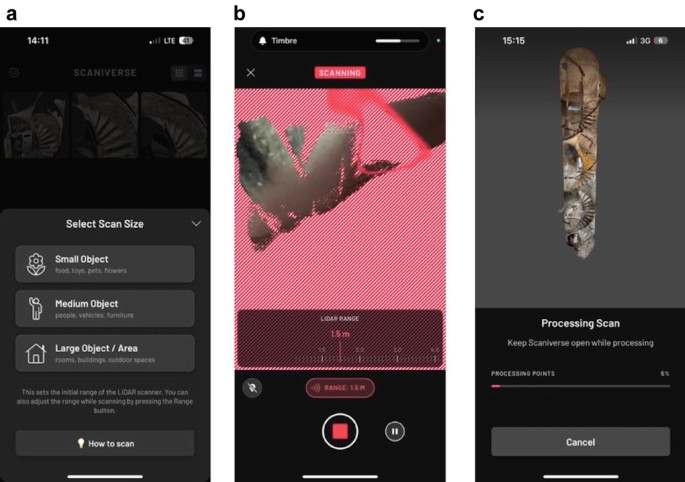 3D Scanning of an Architectural Sculpture Using a Smartphone with LiDAR ...