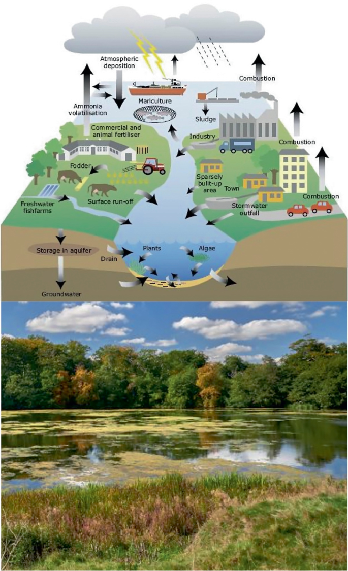 Eutrophication Modeling of Freshwater Reservoirs Using Remote Sensing ...