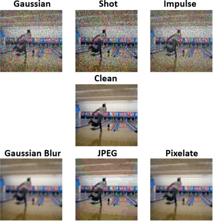 Robustness of ConvNet to High-Frequency Image Corruptions | SpringerLink