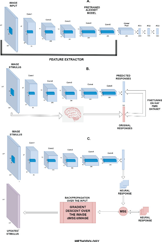 A Gradient-Based Approach to Interpreting Visual Encoding Models | SpringerLink