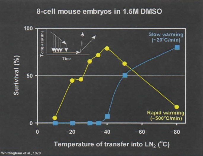 From Ice to Glass: Historical Cryobiological Events that Transformed ...