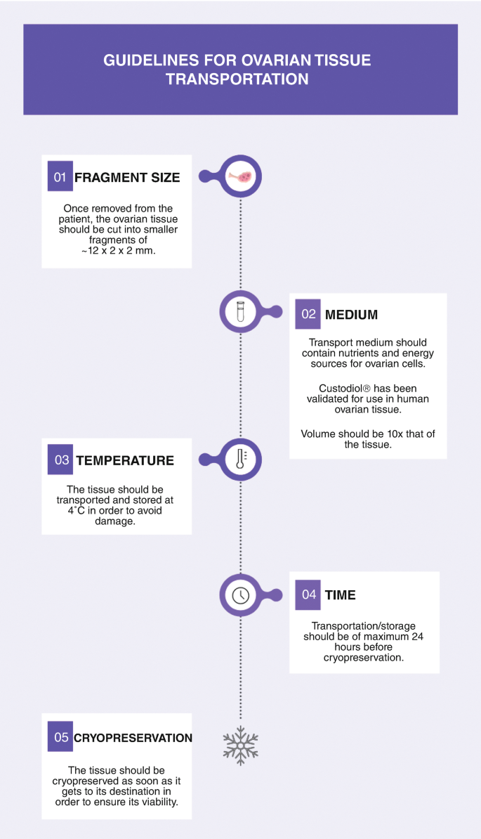 The Importance of Ovarian Tissue Transportation to Reproduction ...