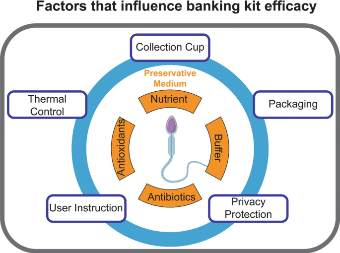 At-Home Sperm Banking Kits | SpringerLink