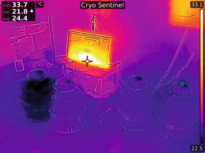 Keeping Cryopreserved Specimen Safe: Thermographic Imaging | SpringerLink