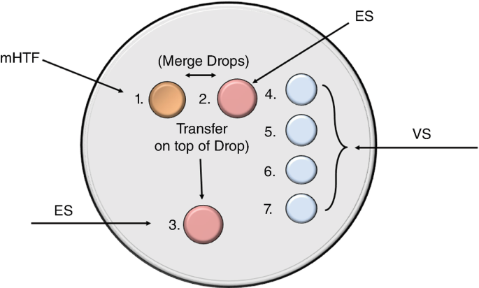 Stepwise Vitrification and Warming Protocol (Standard Operation ...