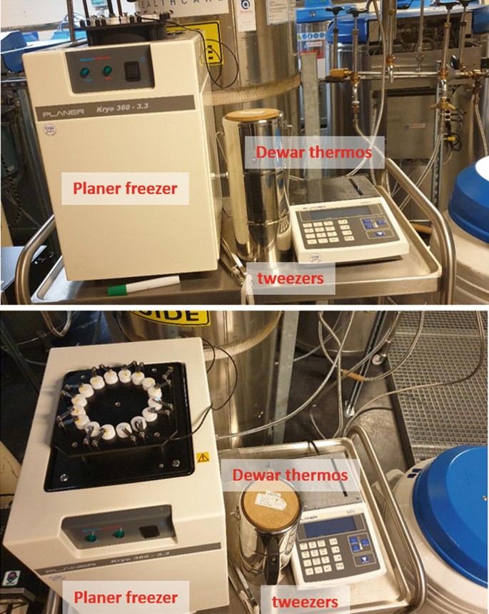 Human Ovarian Tissue Slow Freezing | SpringerLink