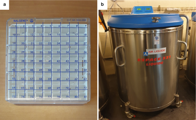 Human Ovarian Tissue Slow Freezing | SpringerLink