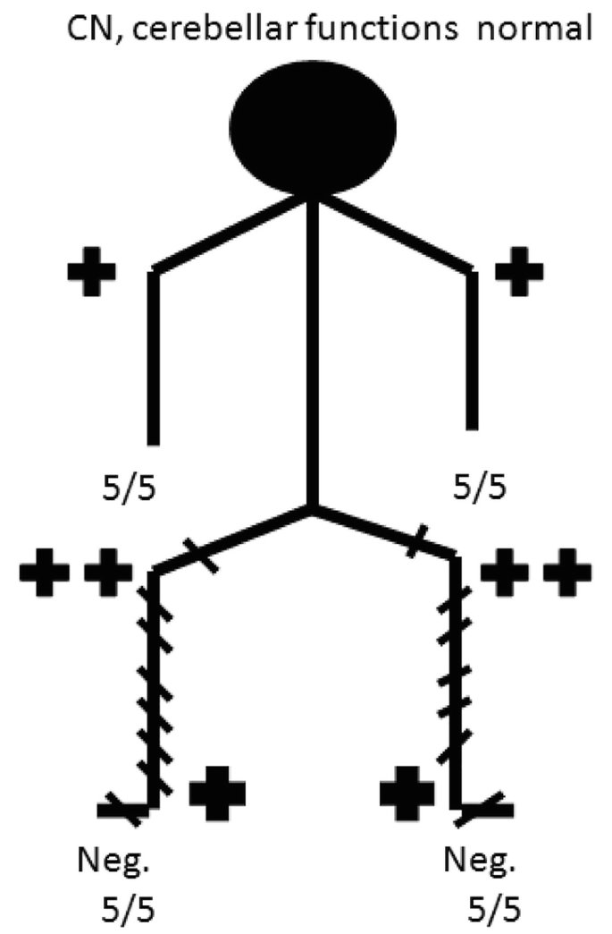 Burning Legs | SpringerLink