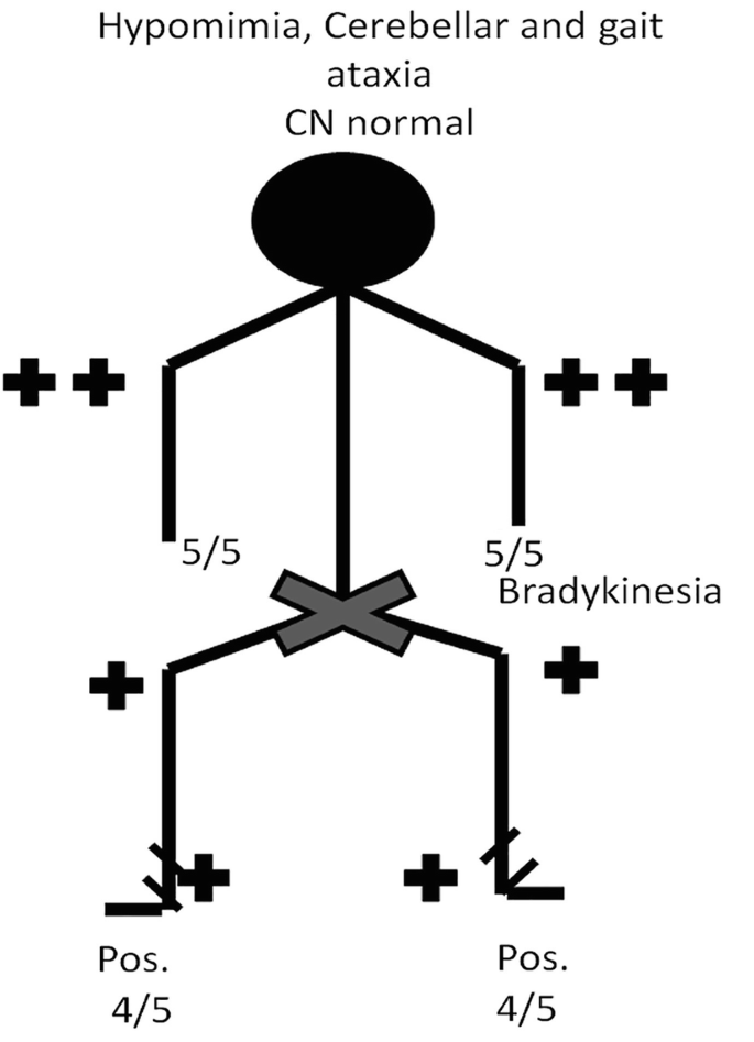 Extrapyramidal, Cerebellar and Cognitive Symptoms in an Older Man ...