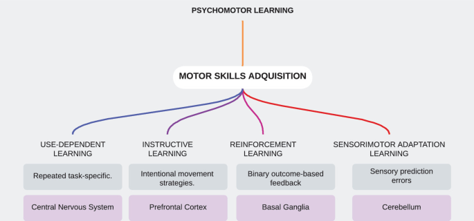 AI-Powered Psychomotor Learning Through Basketball Practice: Opportunities and Challenges ...