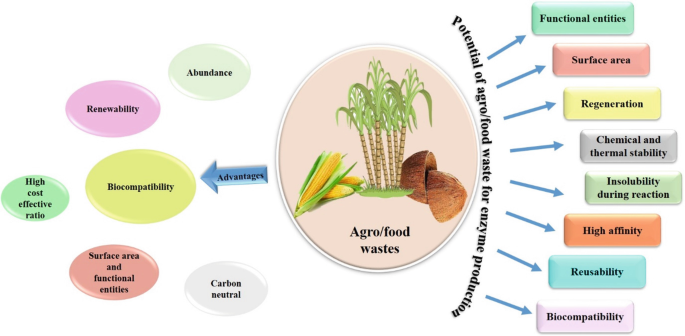 Novel Approaches for Greener Synthesis of Extremozymes Using Agro/Food Waste | SpringerLink