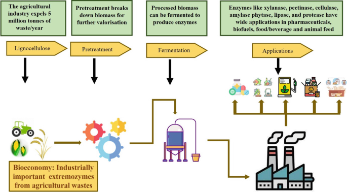 Novel Approaches for Greener Synthesis of Extremozymes Using Agro/Food ...