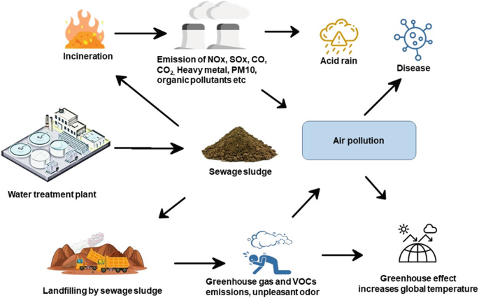 Sewage Sludge: Is It a Sustainable Fertilizer or a Source of ...