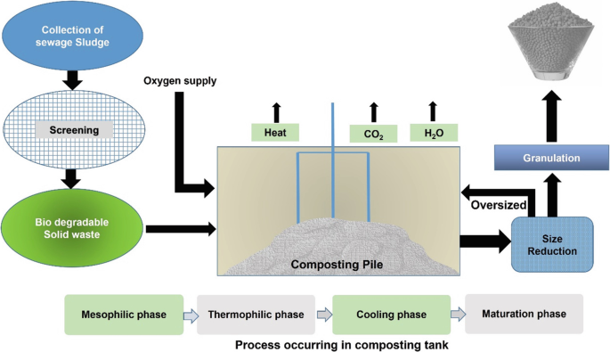 Sewage Sludge: Is It a Sustainable Fertilizer or a Source of ...