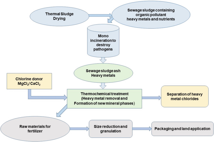 Sewage Sludge: Is It a Sustainable Fertilizer or a Source of ...