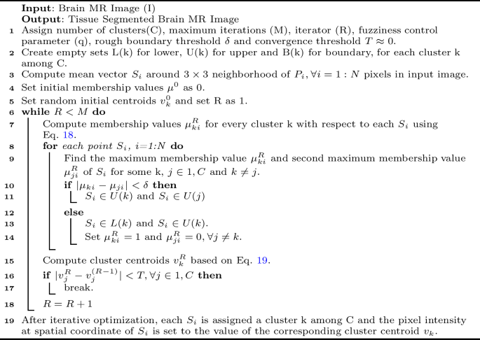 Rough Spatial Ensemble Kernelized Fuzzy C Means Clustering for Robust Brain MR Image Tissue ...