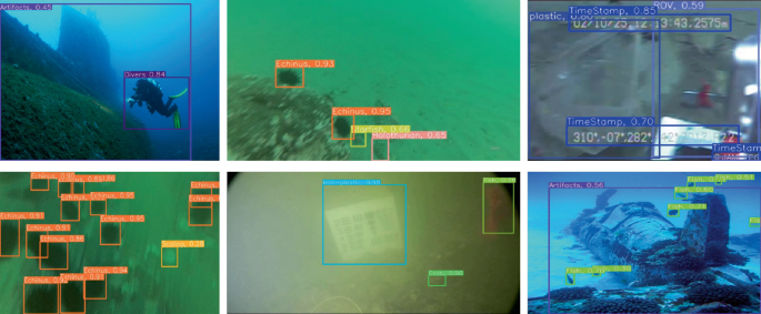 EUWOD-16: An Extended Dataset for Underwater Object Detection | SpringerLink