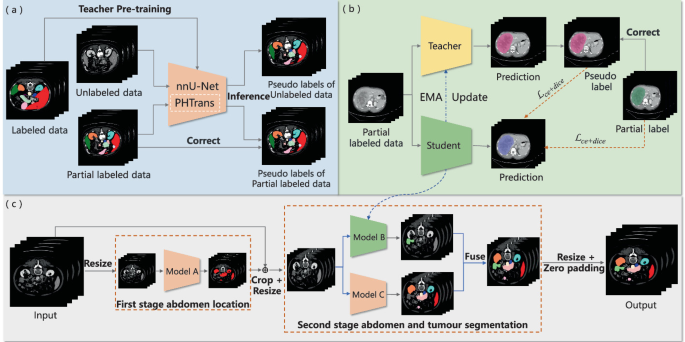 Two-Stage Hybrid Supervision Framework for Fast, Low-Resource, and ...