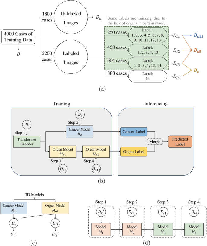 Partial-Labeled Abdominal Organ and Cancer Segmentation via Cascaded Dual-Decoding U-Net ...