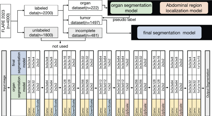 Semi-supervised Two-Stage Abdominal Organ and Tumor Segmentation Model ...