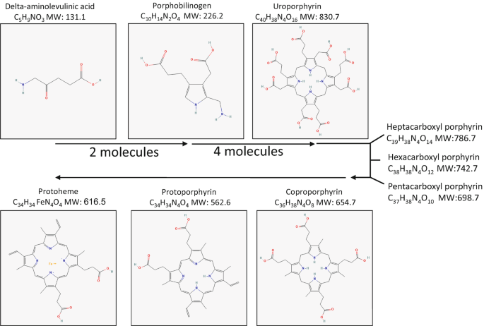 Porphyrins, Porphobilinogen, and δ-Aminolevulinic Acid | SpringerLink