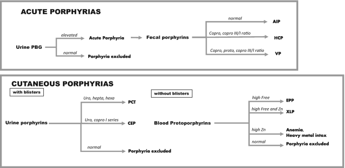 Porphyrins, Porphobilinogen, and δ-Aminolevulinic Acid | SpringerLink