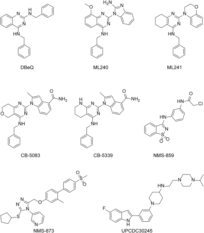 Valosin-Containing Protein (VCP)/p97 Oligomerization | SpringerLink