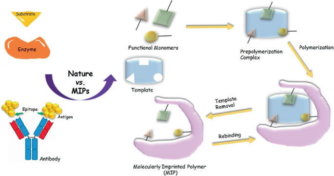 Limitations and Challenges in the Practical Implementation of MIPs ...