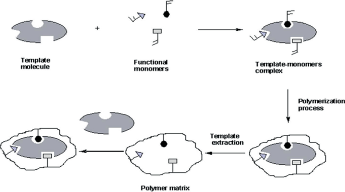 Synthesis Methods and Strategies for MIPs | SpringerLink