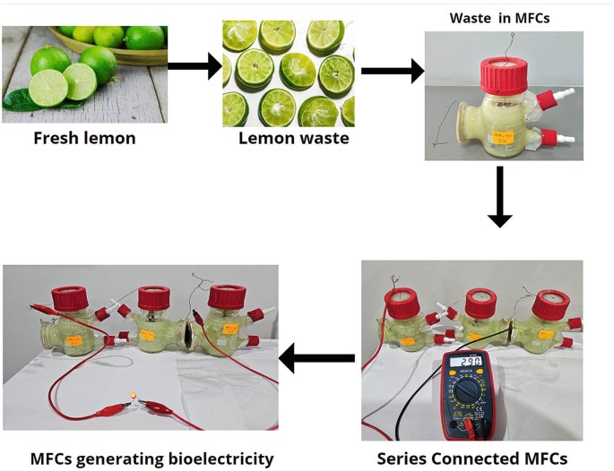 New Fuel Source: Lemon Waste in MFCs-SC for the Generation of ...