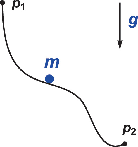 Variational Methods: The Action Principle | SpringerLink