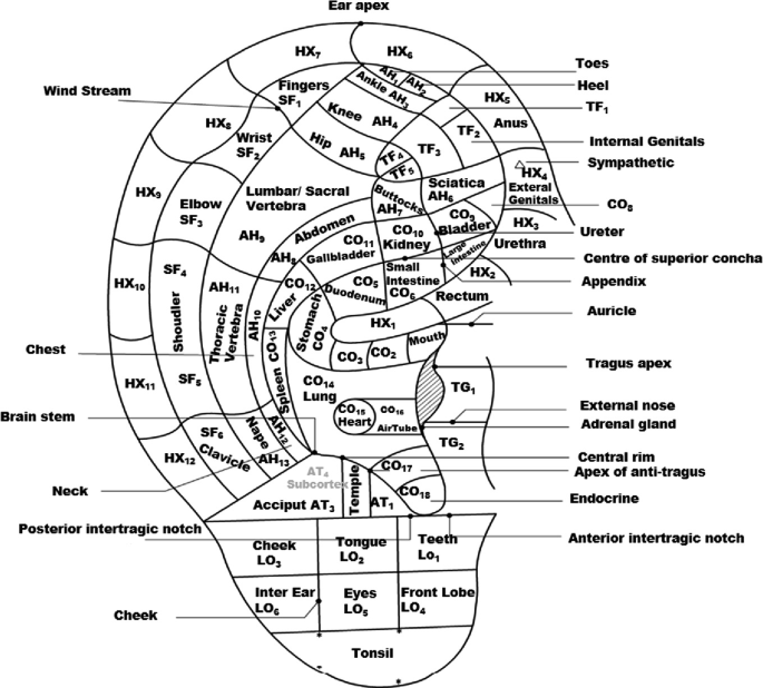 Auricular Acupuncture | SpringerLink