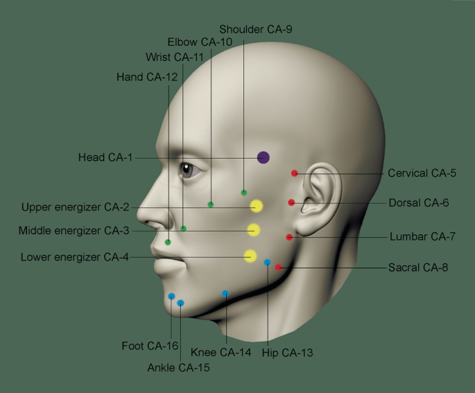 Cheek Acupuncture | SpringerLink