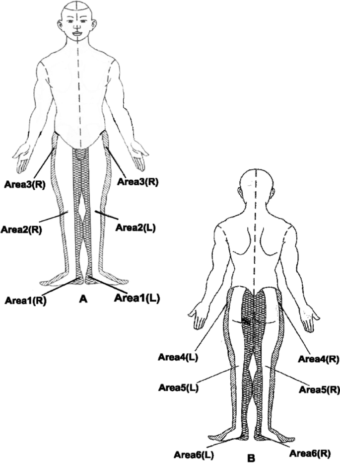 Wrist-Ankle Acupuncture | Springer Nature Link (formerly SpringerLink)
