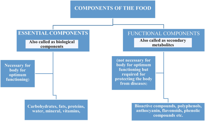 Processing Effects on the Functional Components During Product ...