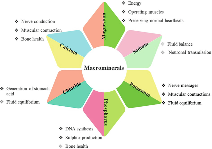 Emerging Trends in Nutraceutical Research: Role of Minerals | SpringerLink