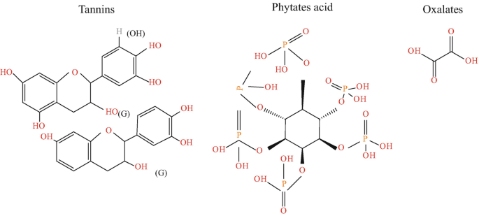 Emerging Trends in Nutraceutical Research: Role of Minerals | SpringerLink
